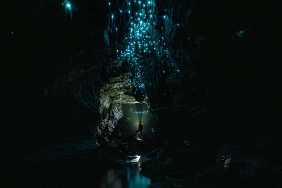 The Waitomo Experience : Okohua Glowworm Cave Tour - Practical Tips for Your Visit