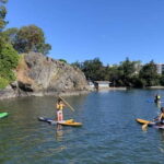 Thetis Lake: Paddle Board Tour with Gear Included - What Makes It a Great Value