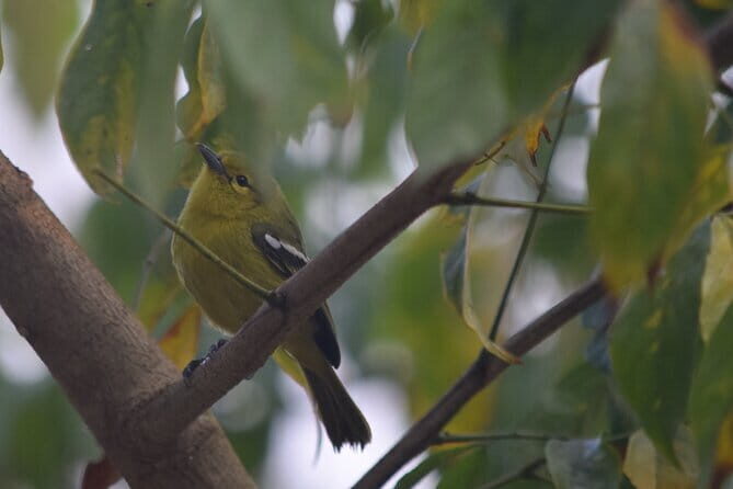 Thimphu City Tour - What’s the Value?