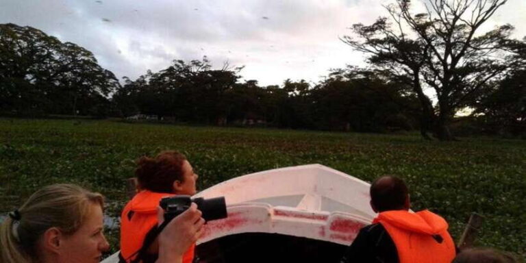 Thissa Lake Boat Safari - Who Should Consider This Tour?