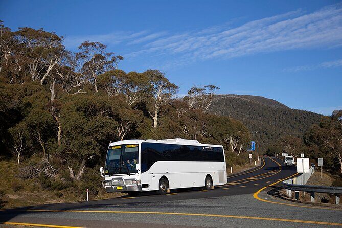 Thredbo or Perisher Bus Trip from Canberra - FAQs