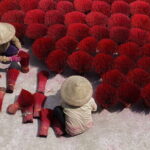 Three Traditional Villages Private Day Tour from Hanoi - Transportation, Timing, and Comfort