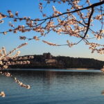 Tiananmen Square, Forbidden City and Cruise to the Summer Palace - Exploring the Heart of Beijing: Tiananmen Square