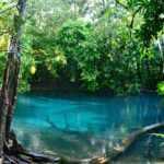 Tiger Cave and Emerald Pool Jungle Tour from Krabi - Visiting Namtok Ron — The Hot Spring Waterfall
