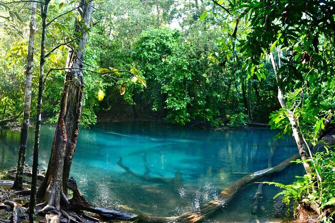 Tiger Cave and Emerald Pool Jungle Tour from Krabi - Visiting Namtok Ron — The Hot Spring Waterfall