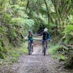 Timber Trail - Ongarue to Pureora Shuttle 2 Day Ride - What Reviewers Say: Authentic Perspectives