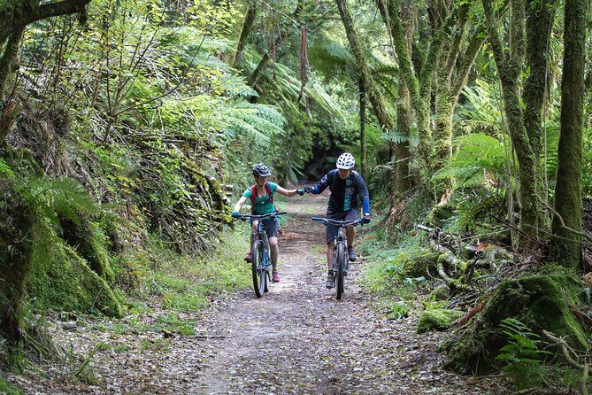 Timber Trail - Ongarue to Pureora Shuttle 2 Day Ride - What Reviewers Say: Authentic Perspectives