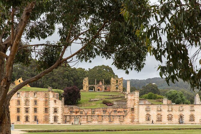 Time Traveler Tale Unveiling History at Port Arthur Full Day Tour - Introduction: Is This the Port Arthur Tour for You?