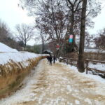 Timeless Fusion: Korean Folk Village, Fortress, Starfield Library - Authentic Experiences Shared by Other Travelers