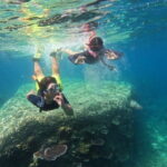 Tioman Coral Island Snorkeling & Island Hopping Tour - Practical Details and What Travelers Need to Know