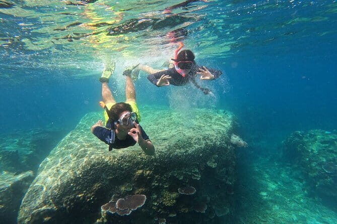 Tioman Coral Island Snorkeling & Island Hopping Tour - Practical Details and What Travelers Need to Know