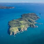 Tiritiri Matangi Island Discovery - from Auckland - A Detail-Heavy Breakdown of the Itinerary