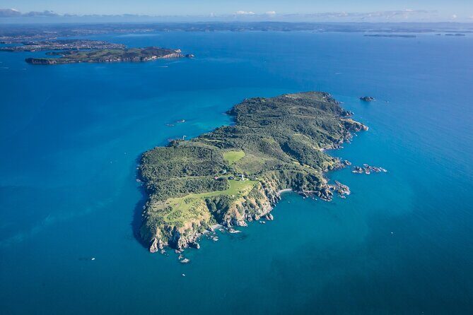Tiritiri Matangi Island Discovery - from Auckland - A Detail-Heavy Breakdown of the Itinerary