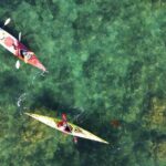 Tiritiri Matangi Sea Kayak Tour - The Price and Value