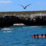 Title: Puerto Vallarta: Marietas Island Adventure - What the Reviews Say