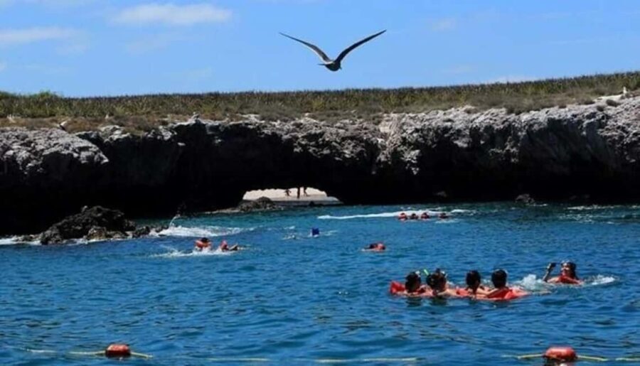 Title: Puerto Vallarta: Marietas Island Adventure - What the Reviews Say