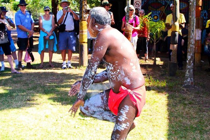 Tiwi By Design Day Tour - Who Should Consider This Tour?