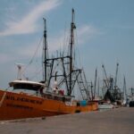 Tlacotalpan World Heritage Site and Alvarado Day Trip - The Experience: Pros and Cons
