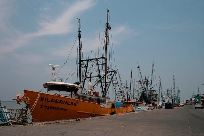 Tlacotalpan World Heritage Site and Alvarado Day Trip - The Experience: Pros and Cons