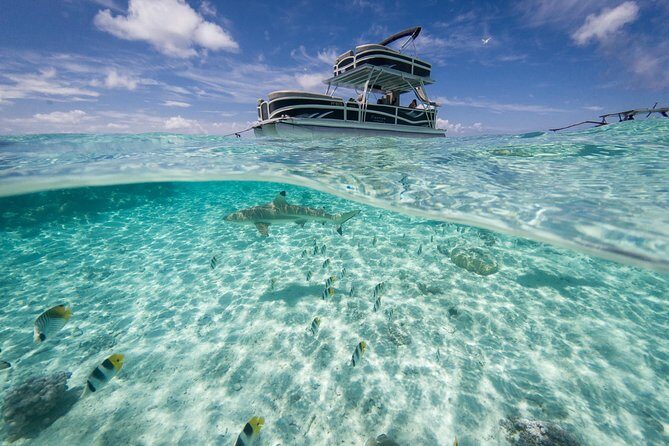Toa Boat Bora Bora Private Lagoon tour with Lunch on Ambassador Boat - Authentic Experiences and Guest Feedback