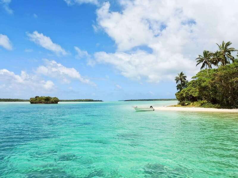 Tobago: Buccoo Reef Glass Bottom Boat Tour - The Highlights of the Tour