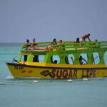 Tobago: Glass Bottom Boat & Highlights Tour - An in-Depth Look at the Tour Experience