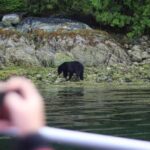 Tofino: Bear Watching Boat Tour with Nature Guide - Authentic Encounters: What You Really Get