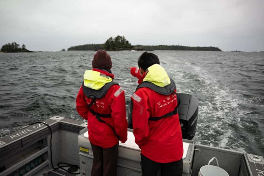 Tofino: Private Boat Tour with Big Tree Trail & Crabbing - The Value of a Private Tour
