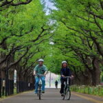 Tokyo: 3h Private E-bike Tours, Starting at Your Hotel - What Makes This E-bike Tour Stand Out