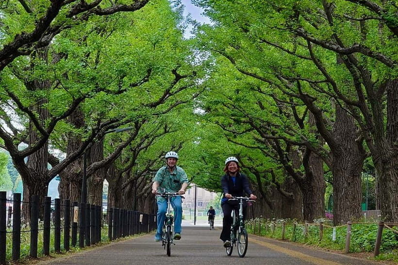 Tokyo: 3h Private E-bike Tours, Starting at Your Hotel - What Makes This E-bike Tour Stand Out