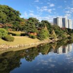 Tokyo Afternoon Half Day City Tour with Hotel pickup by Gray Line - Who Should Consider This Tour?