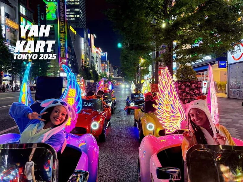 Tokyo: Akihabara/Asakusa Go-Karting Tour (including guide) - Practical Tips for Travelers