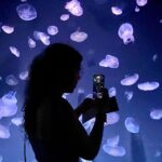 Tokyo : Aquarium Backyard Tour and Tokyo View Observatory - How Does it All Add Up?