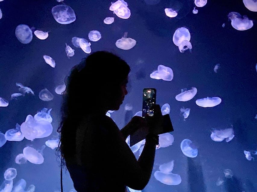 Tokyo : Aquarium Backyard Tour and Tokyo View Observatory - How Does it All Add Up?