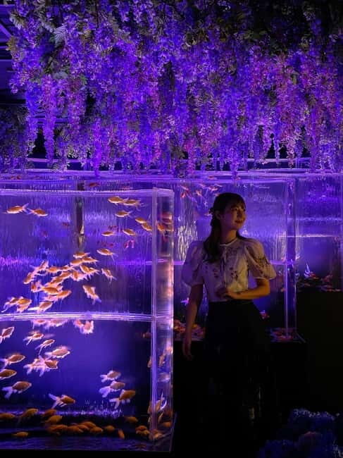 Tokyo: Art Aquarium Museum GINZA Entry Ticket - Key Points