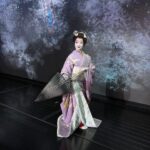 Tokyo: Authentic Japanese Dance Show ticket by professionals - The Experience: What to Expect from the Japanese Dance Show