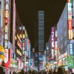 Tokyo: City Tour Tokyo With Driver - The Practicalities: What to Expect