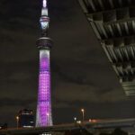 Tokyo Customizable Private Tour by Car & Van - Comfort and Convenience: How It Enhances Your Experience