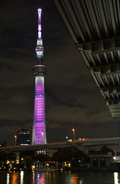 Tokyo Customizable Private Tour by Car & Van - Comfort and Convenience: How It Enhances Your Experience