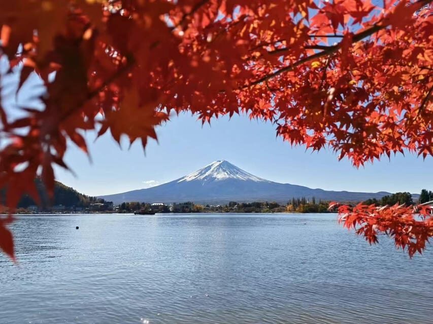 Tokyo: Day Trip Mount Fuji /Lake Kawaguchi (Private tour) - Mt. Kachi Kachi Ropeway and Lake Kawaguchi