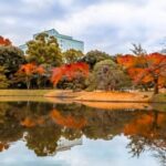 Tokyo: Full-Day Japanese Garden Private Guided Tour - What Sets This Tour Apart?