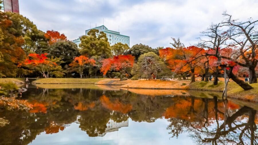 Tokyo: Full-Day Japanese Garden Private Guided Tour - What Sets This Tour Apart?
