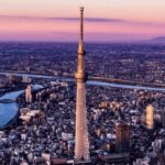 Tokyo Full day Private Customized Tour with English Driver - Who Will Love This Tour?