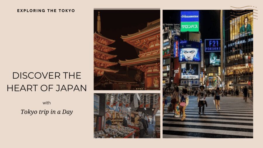 Tokyo full day private tour with Guide - FAQs