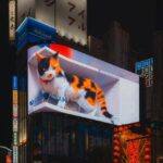 Tokyo full day Spanish speaking tour with hotel pick up and drop off. - What Travelers Say