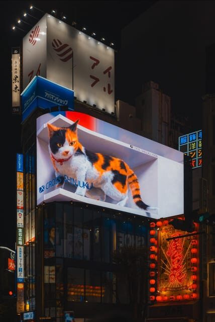 Tokyo full day Spanish speaking tour with hotel pick up and drop off. - What Travelers Say