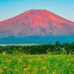 Tokyo: Full-Day Tour of the Six Majestic Spots of Mt Fuji - Detailed Breakdown of the Stops