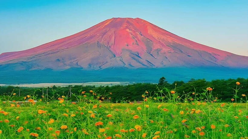 Tokyo: Full-Day Tour of the Six Majestic Spots of Mt Fuji - Detailed Breakdown of the Stops