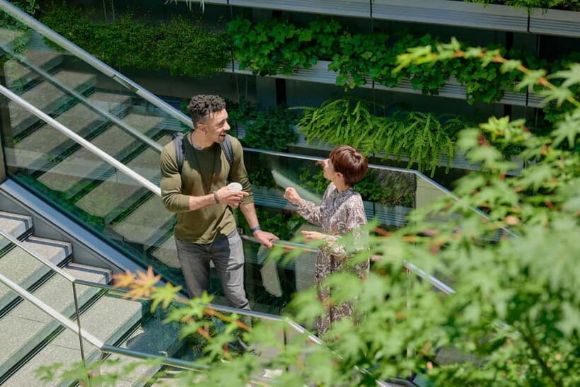 Tokyo: Ginza Architecture Small-Group Guided Tour - Analyzing the Value