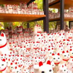 Tokyo: Gotokuji Lucky Cat Temple & Harajuku Shibuya Cat Café - Why We Think This Tour Is Special